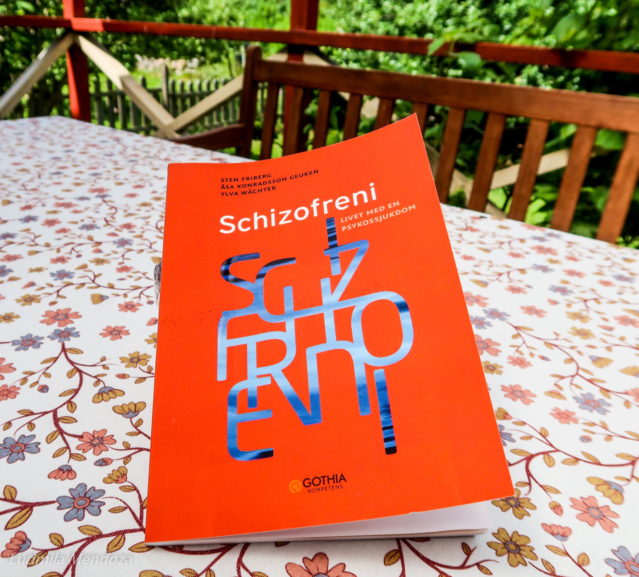 Schizofreni, livet med psykossjukdom av Sten Friberg, Åsa Konradsson ...